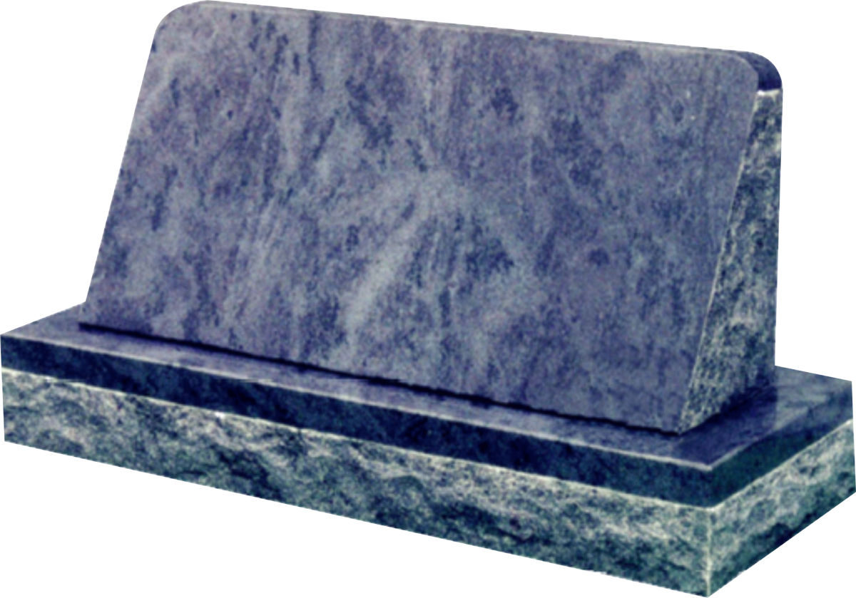 GVB-301 | Global Values