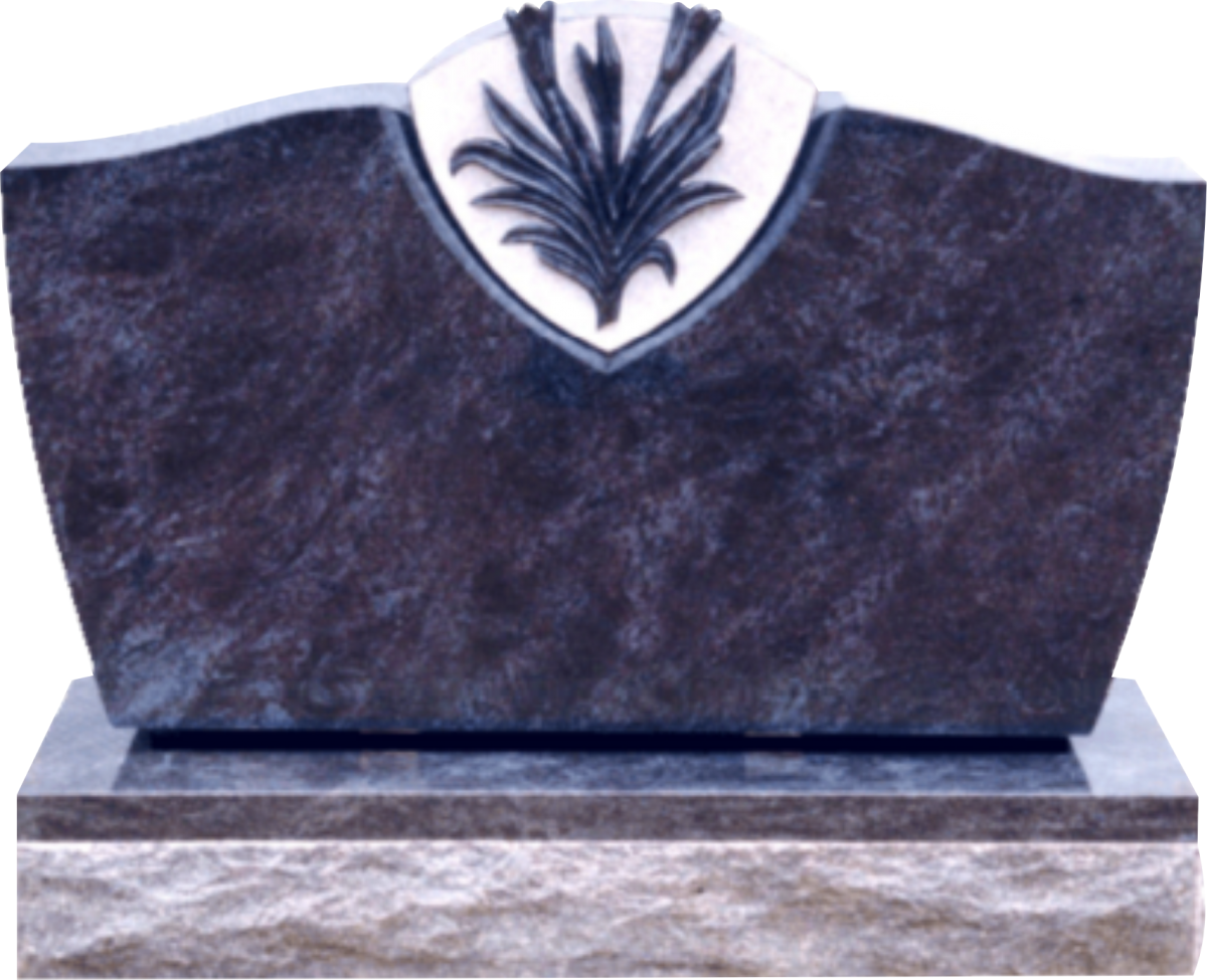 GVB-428 | Global Values