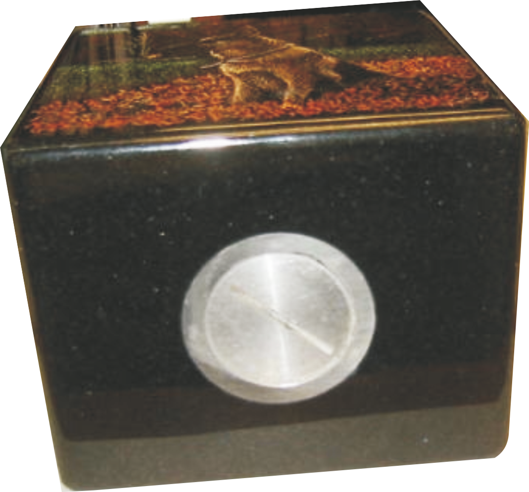 GVB-613 | Global Values